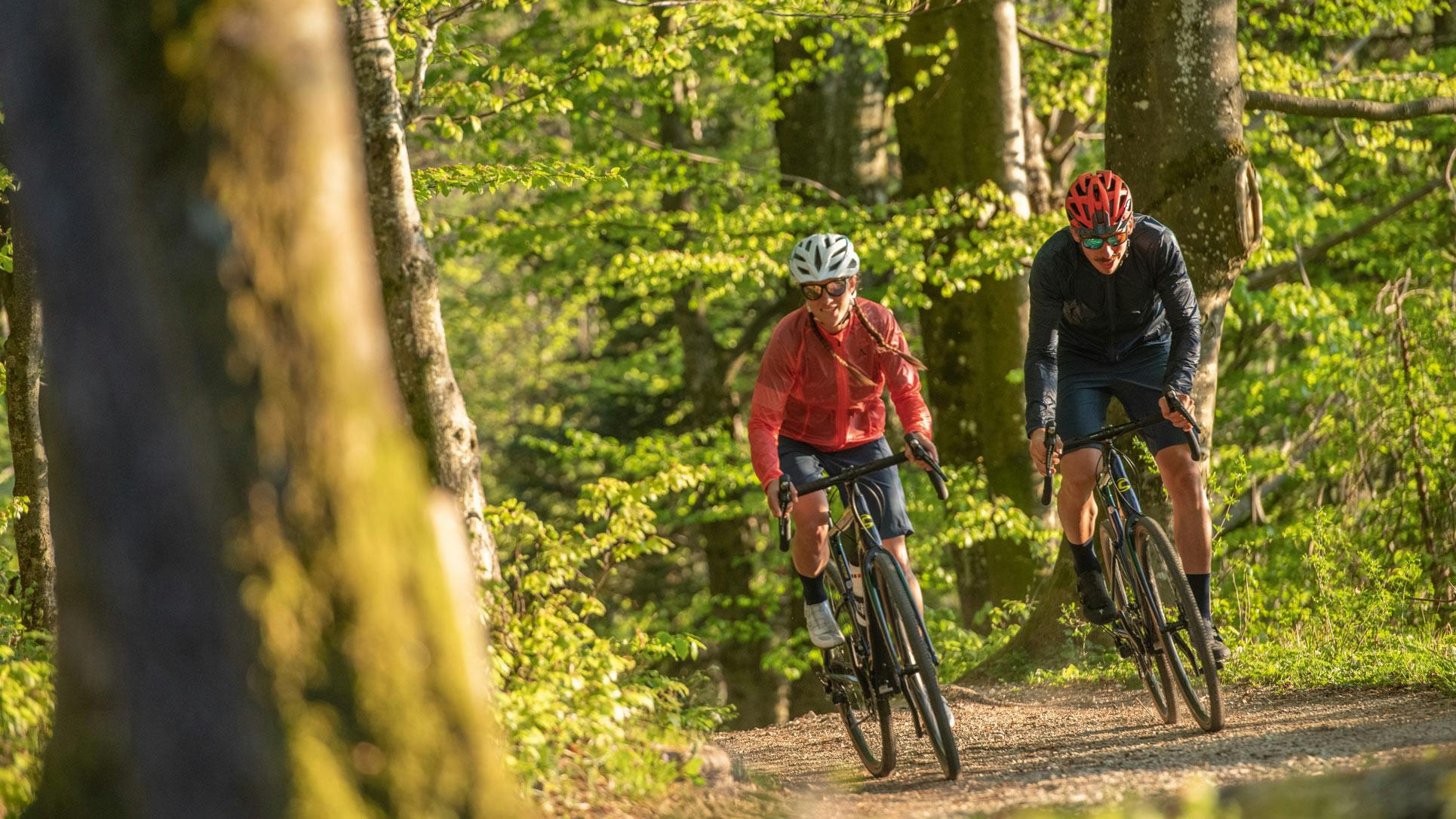Wald-Fahrrad 🚲 Gravel-Bike | SCHÖFFEL