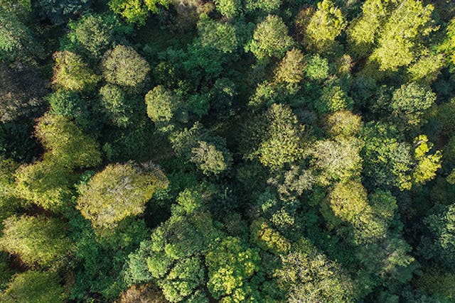 Technology Carbon Standard | Scott Logic