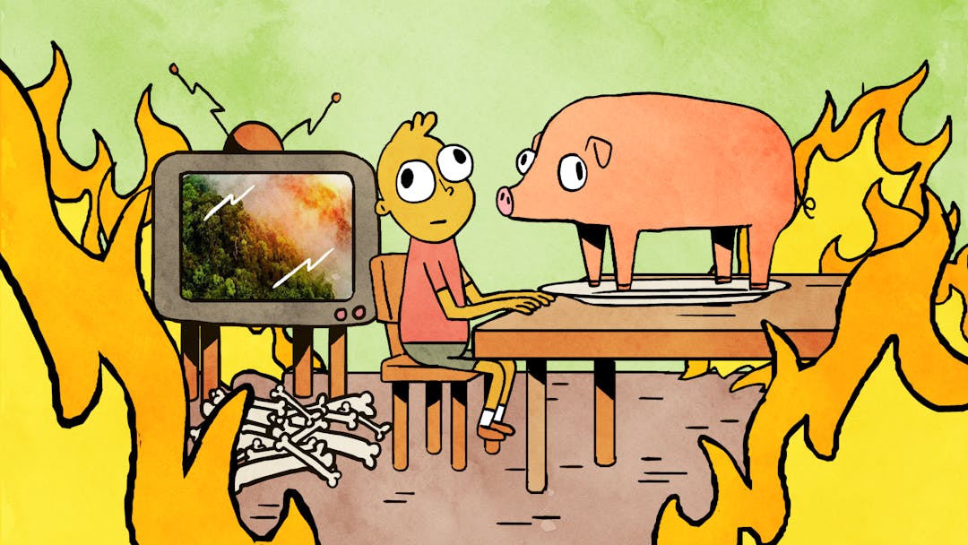 Viva Vegan Charity Animation | Scribble Room Animation