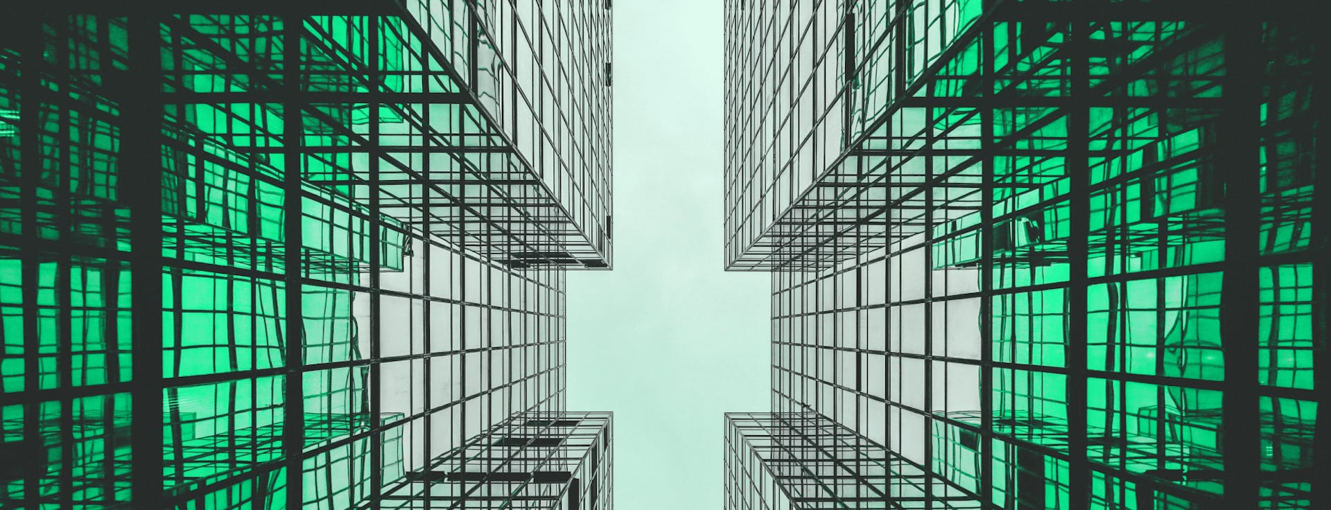 Cómo Definir el Apetito de Riesgo de su Organización en 8 Pasos