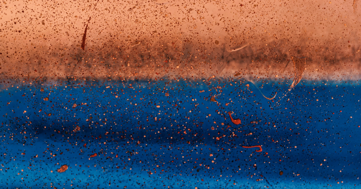 What Are Complementary User Entity Controls (CUECs) & Why Do They Matter?