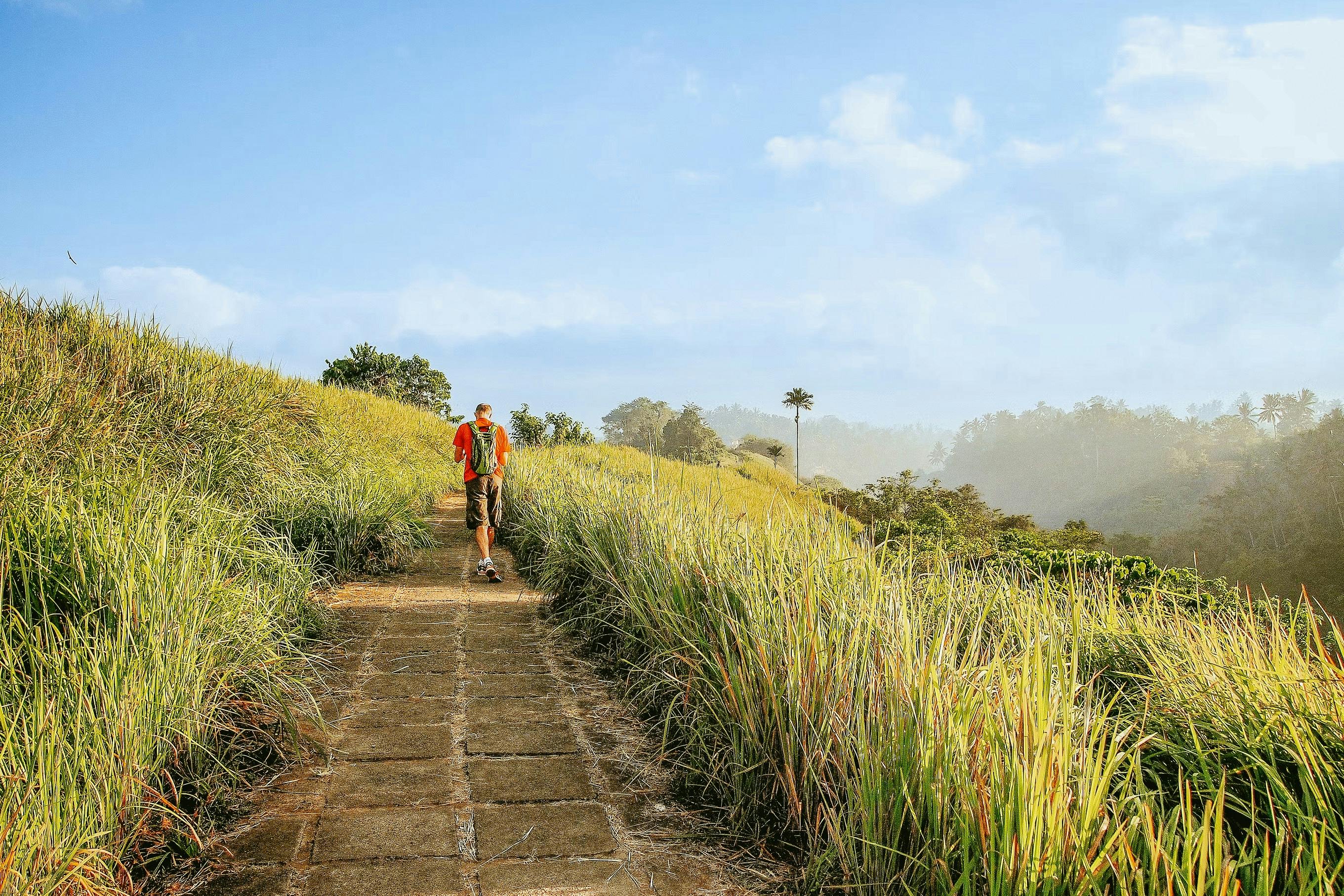 Top 30 Things to Do Around Ubud - Seek Sophie