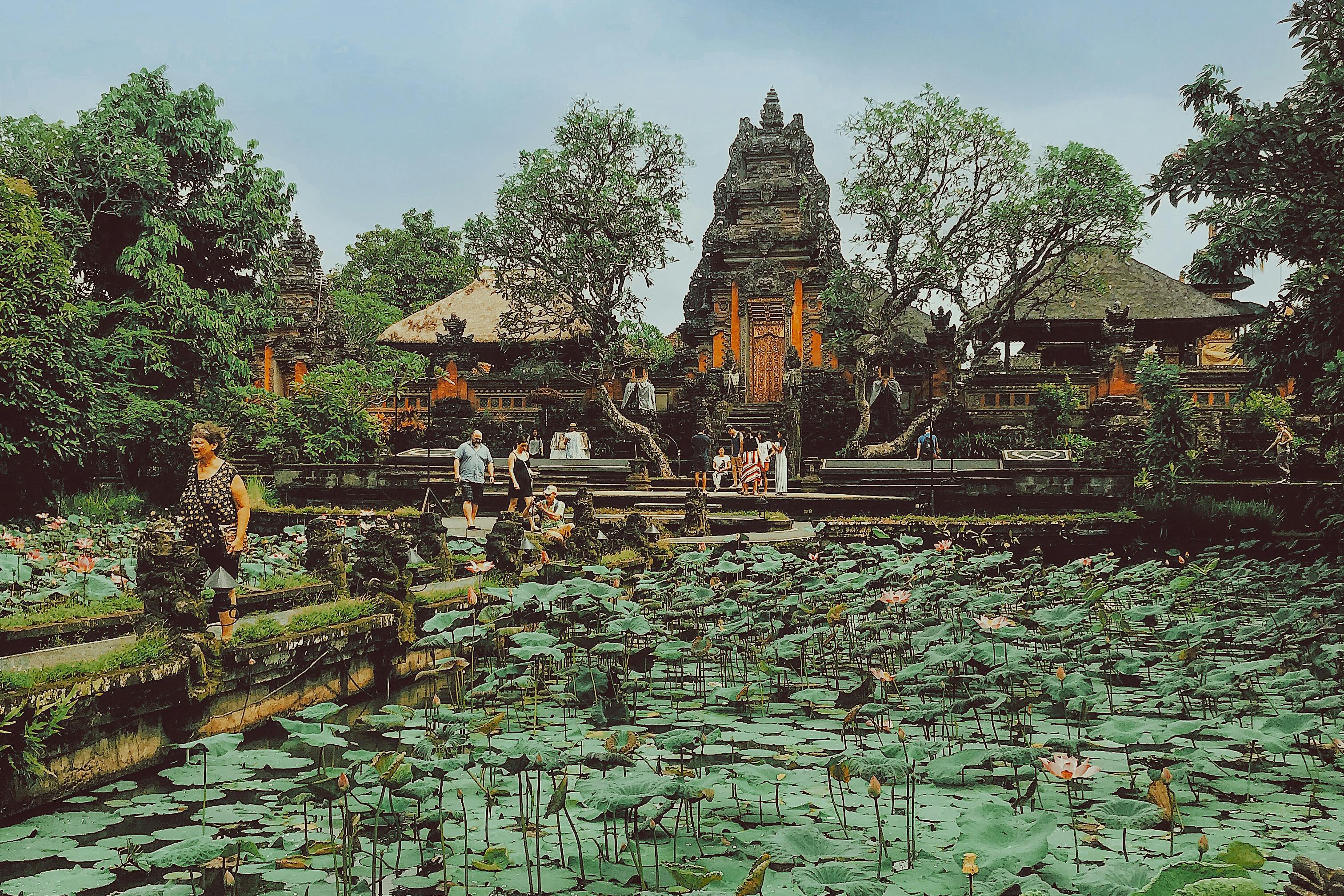 Top 30 Things to Do Around Ubud - Seek Sophie