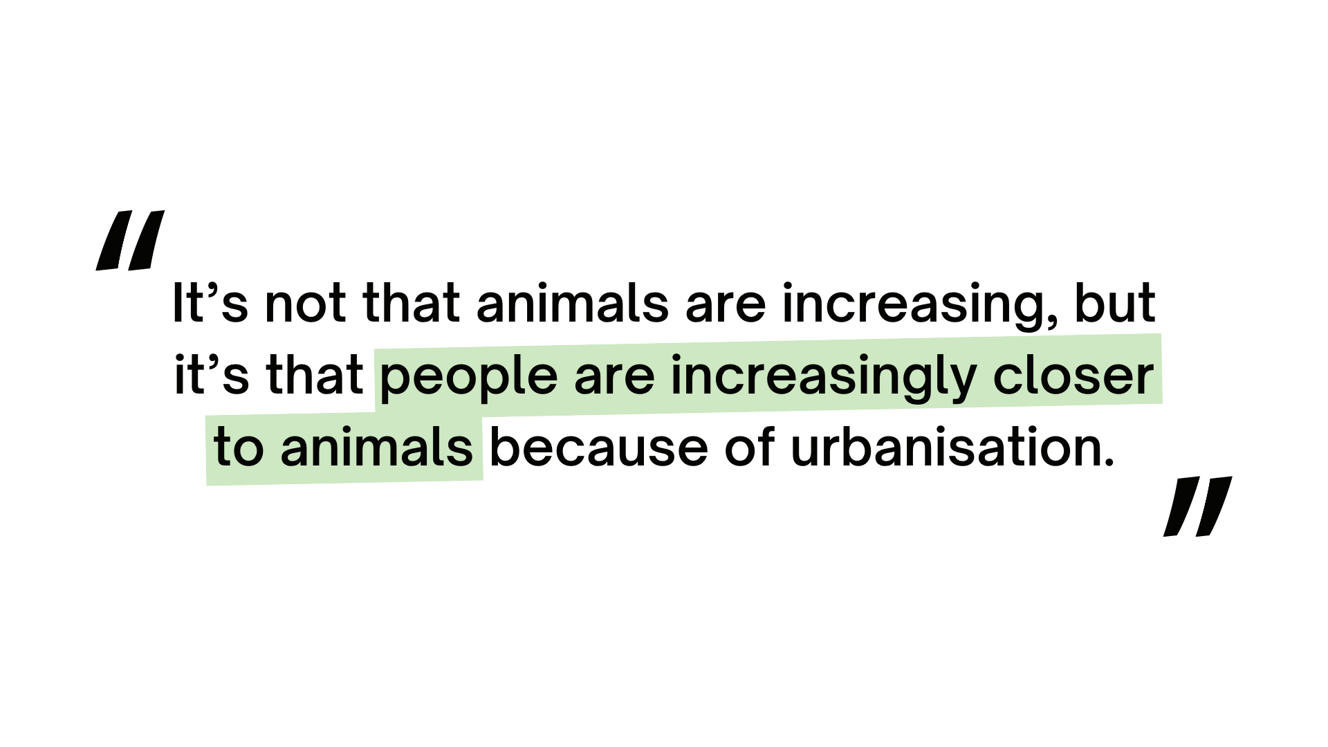 Seek Sophie | Wildlife, Urbanisation and Coexistence - A Conversation ...