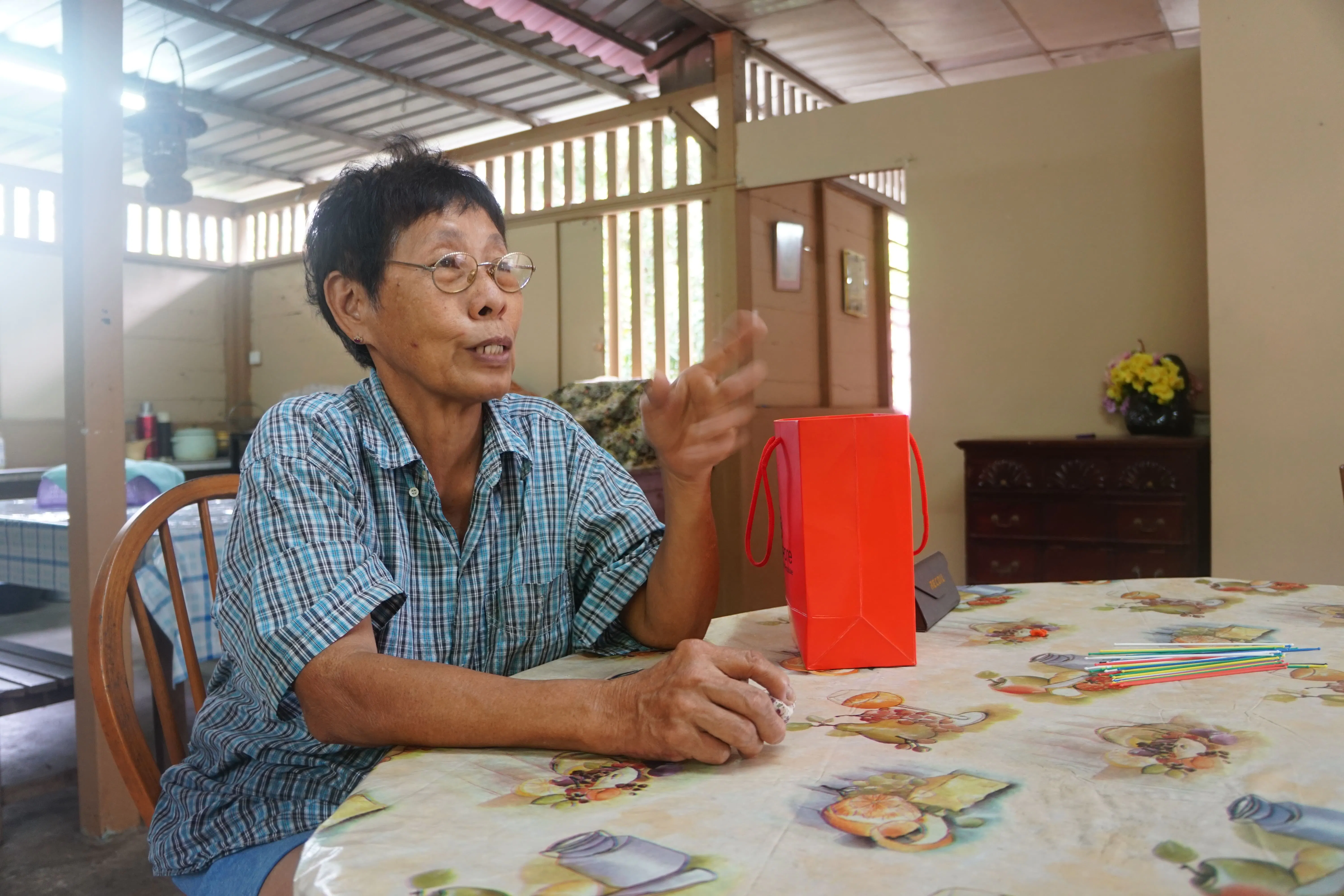 A Trip to Singapore's Last Kampong — Lorong Buangkok | Seek Sophie