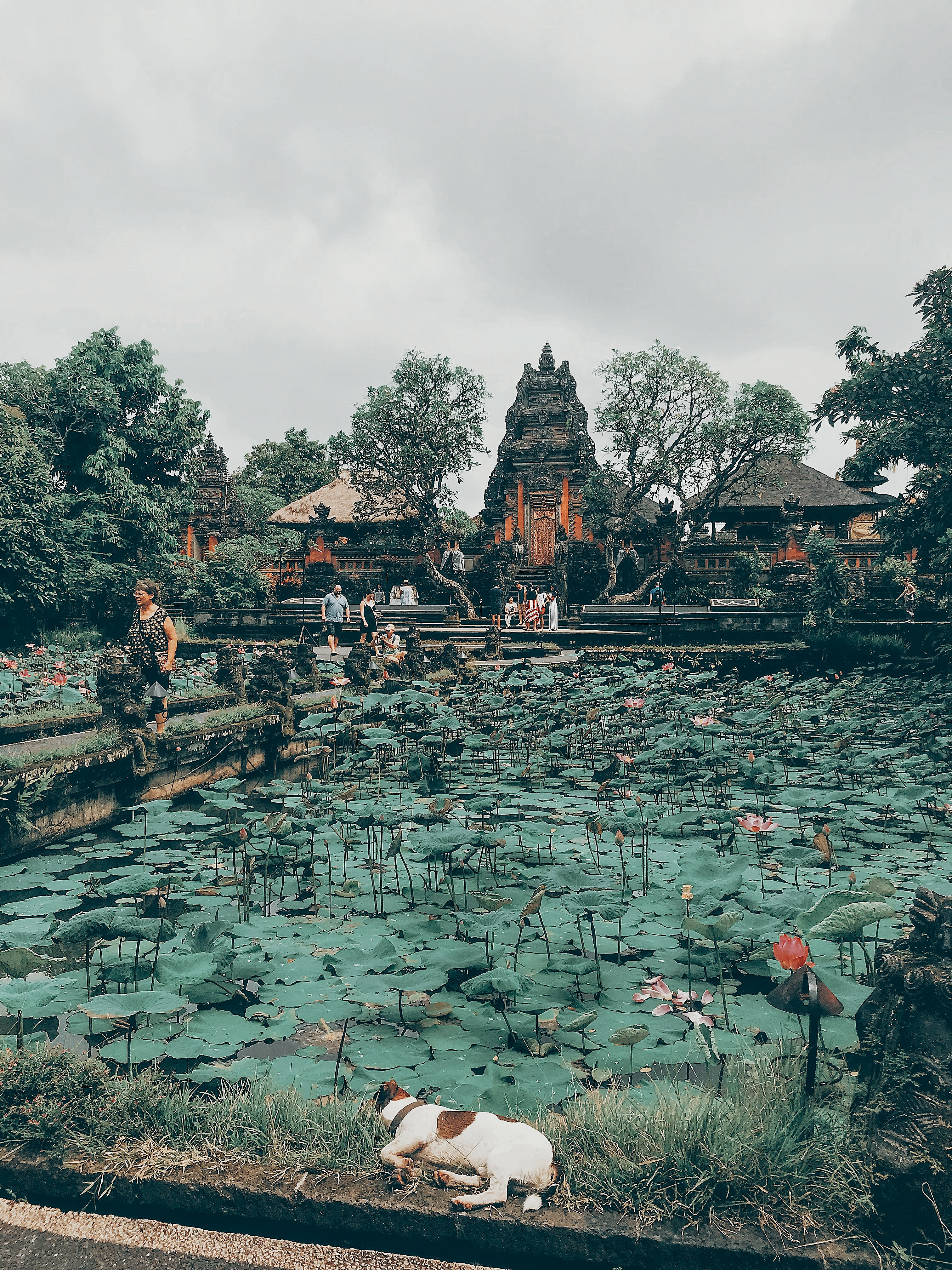 Seek Sophie | 30 Coolest Things to Do Around Ubud, Bali