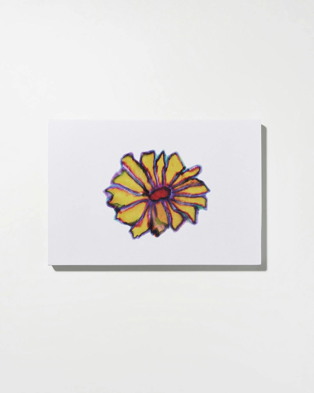 Nomadic Rituals – Aster | Selahatin