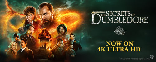 Fantastic Beasts The Secrets of Dumbledore