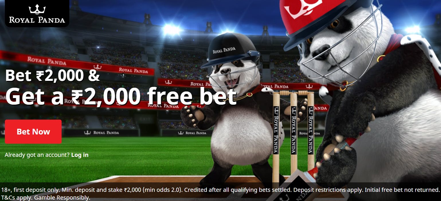 Best Betting Apps in India 2020 | BettingGuide.com