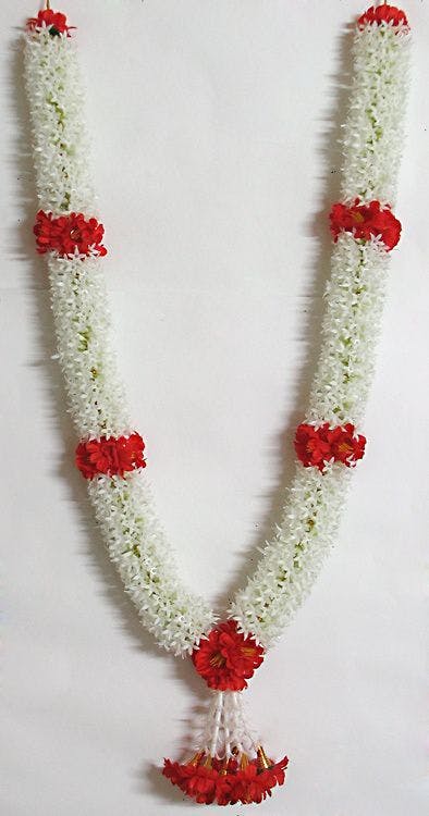 Rajnigandha Flower Mala | Best Flower Site