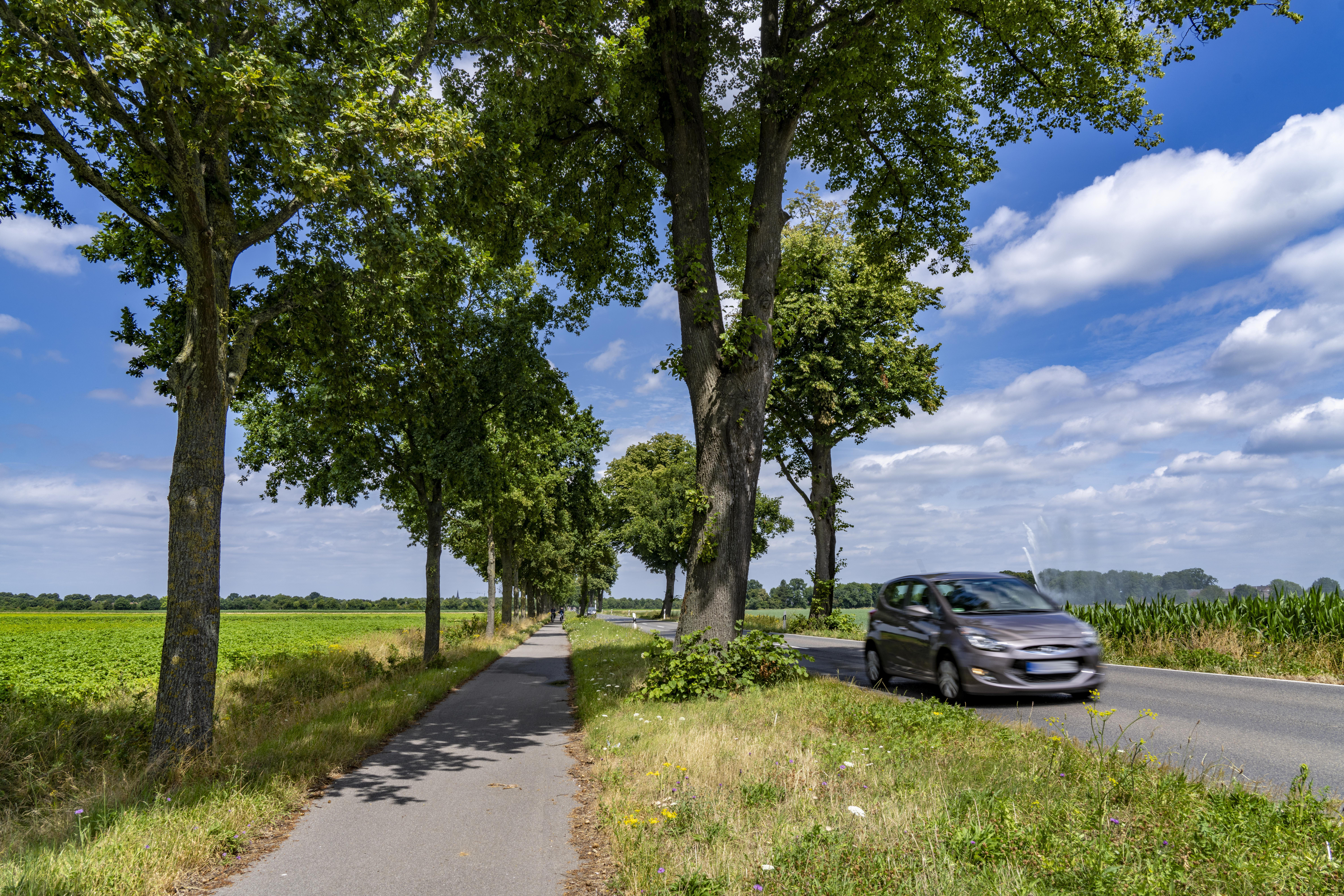 Bremsweg berechnen: Nutze diese Formel | mobile.de