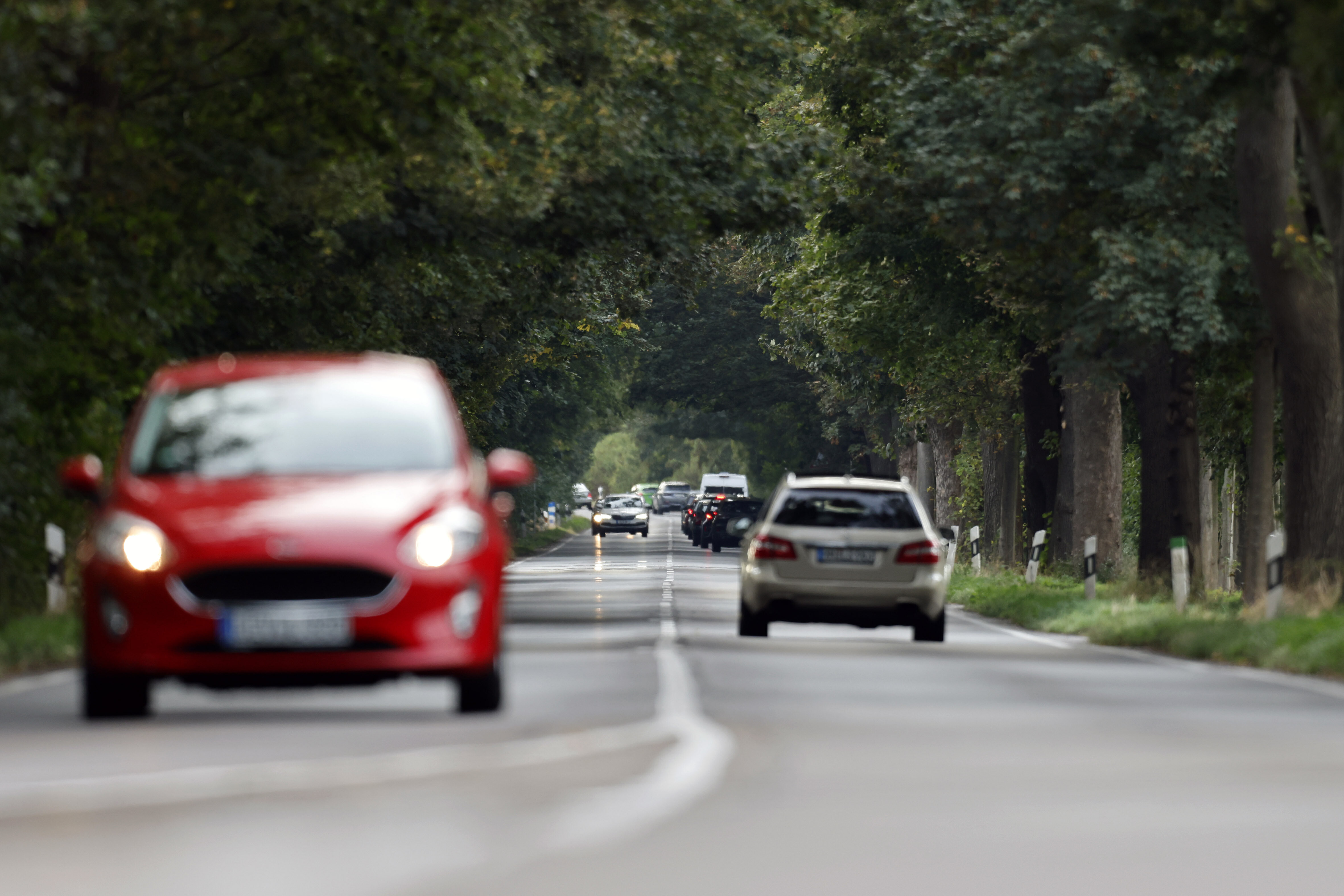 Wie hoch ist die Kfz-Steuer? | mobile.de