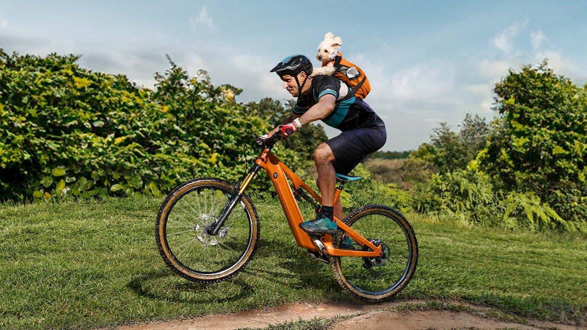 E-Bike-Trekking-Testsieger: Die Top-10-Modelle im Vergleich