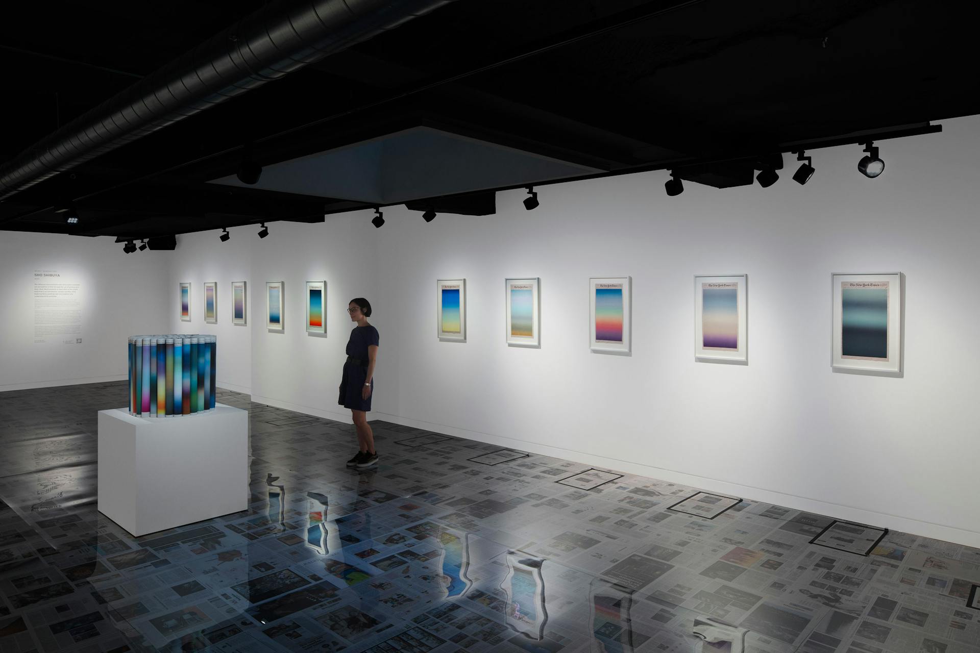Month | Exhibitions | Sho Shibuya