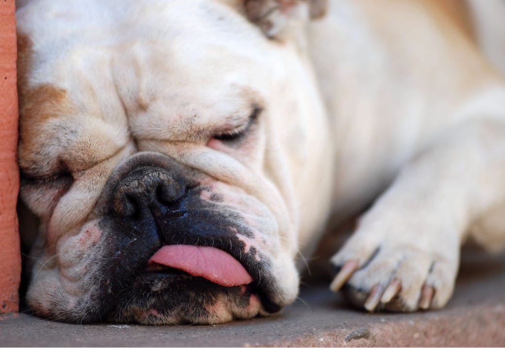 9 Tips for Working Safely in Hot Weather This Summer - SiebenCarey