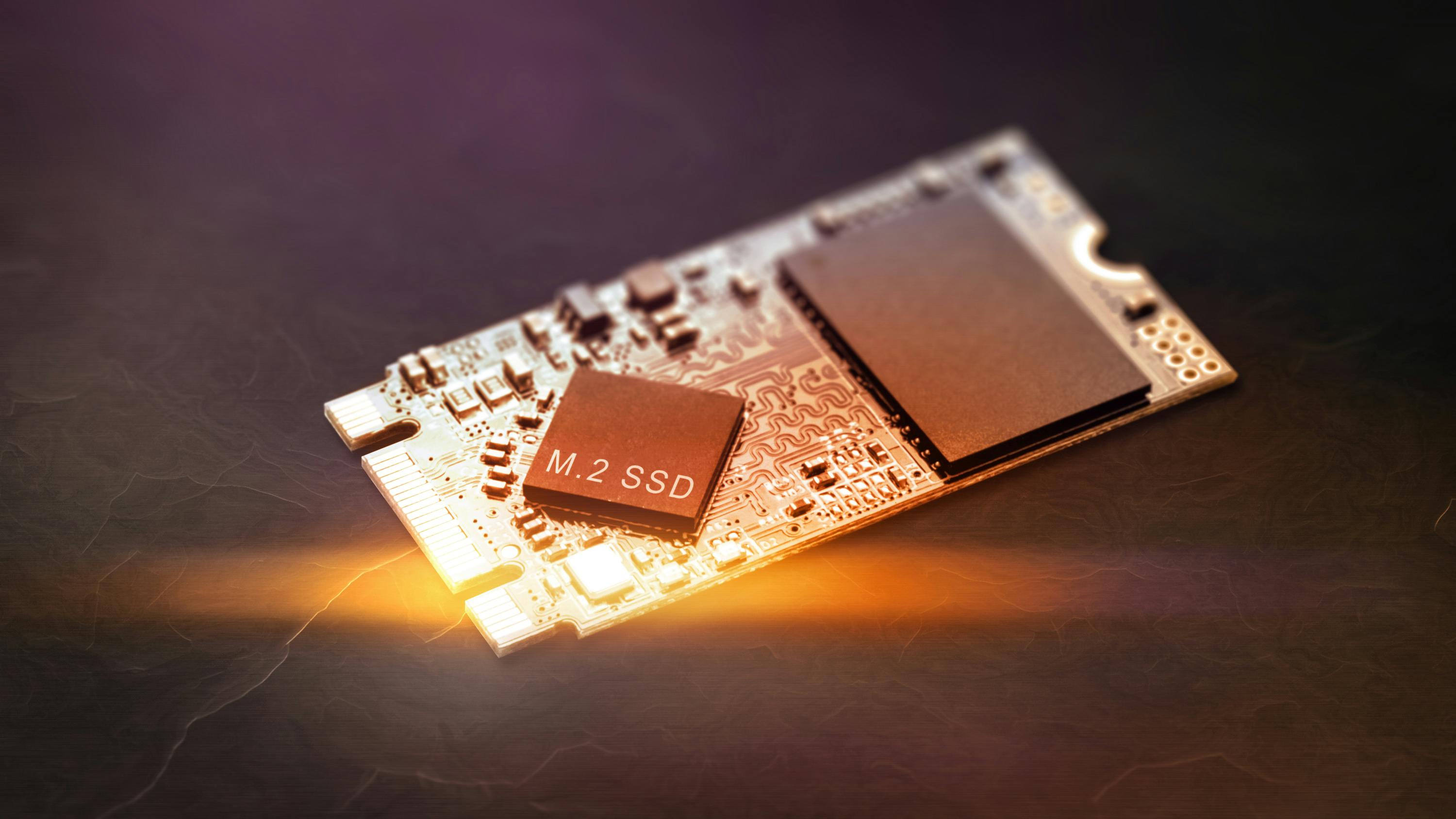 RISC-V Solutions for Storage - SiFive