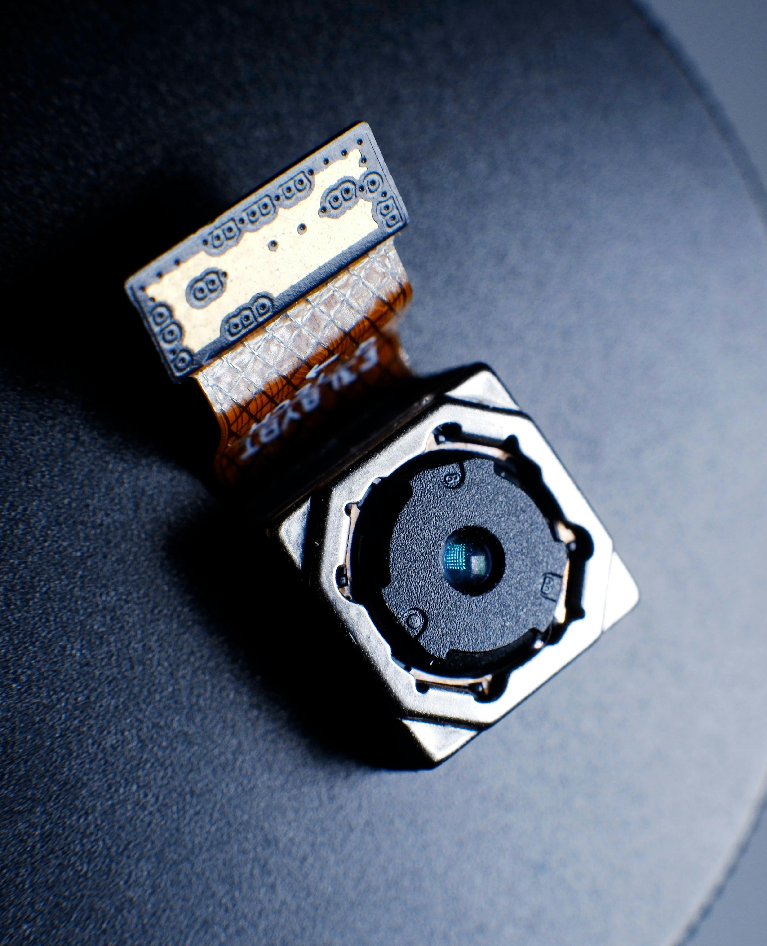 SiFive Essential™ E Series