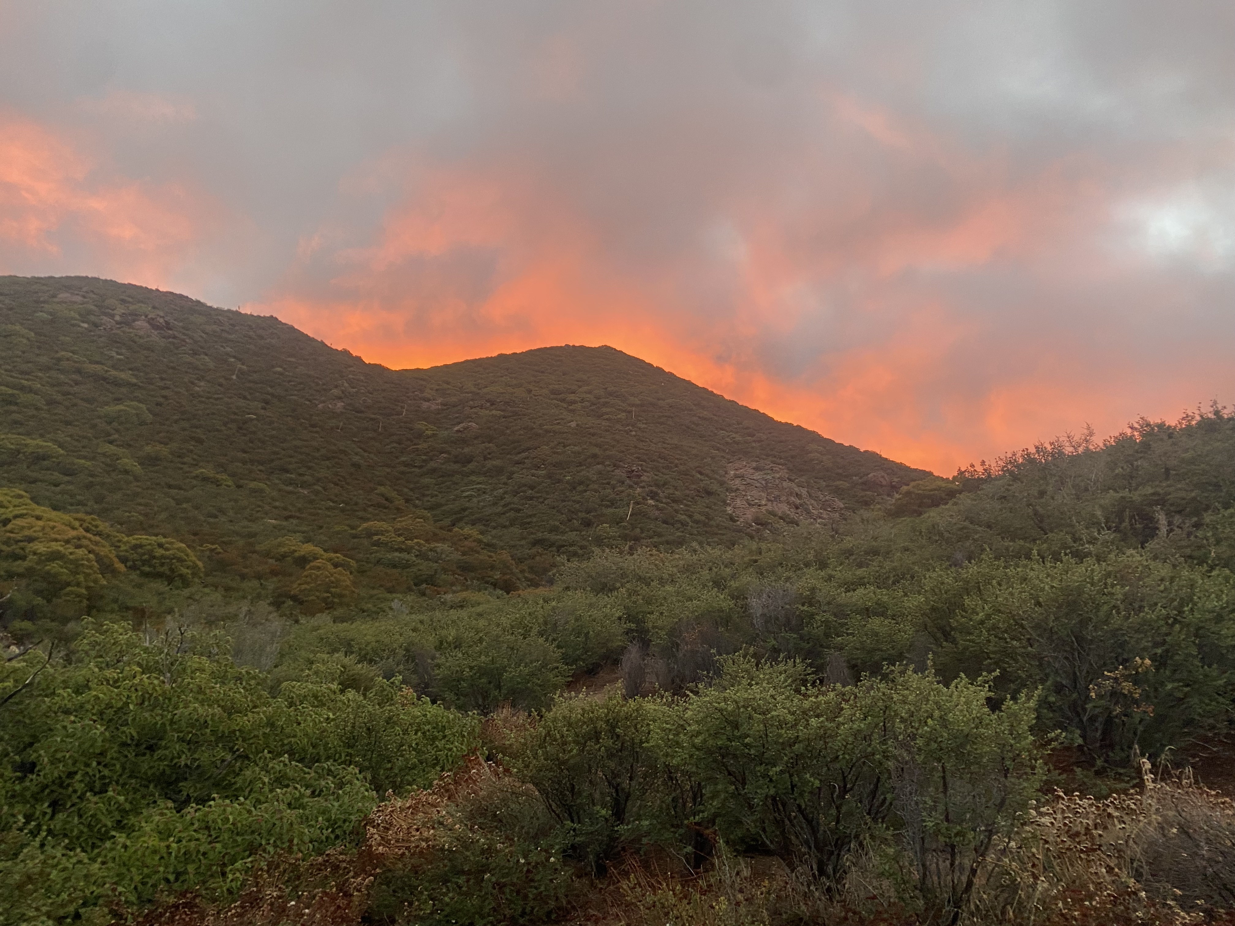 PCT 23: I-74 to Scissors Crossing