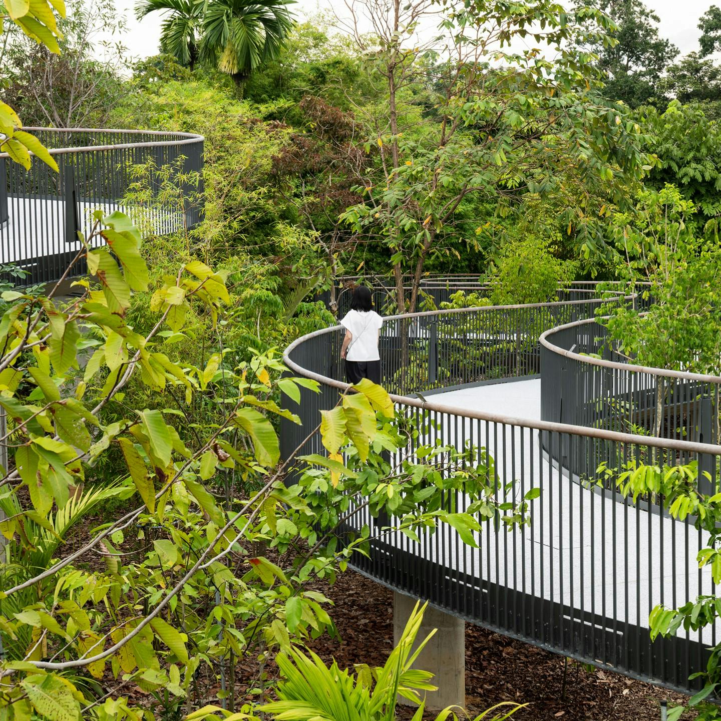 Gallop Extension at Singapore Botanic Gardens | Singapore Architect