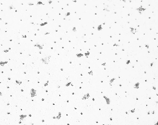 Forro Mineral Armstrong®