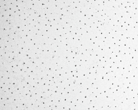 Forro Mineral Armstrong®