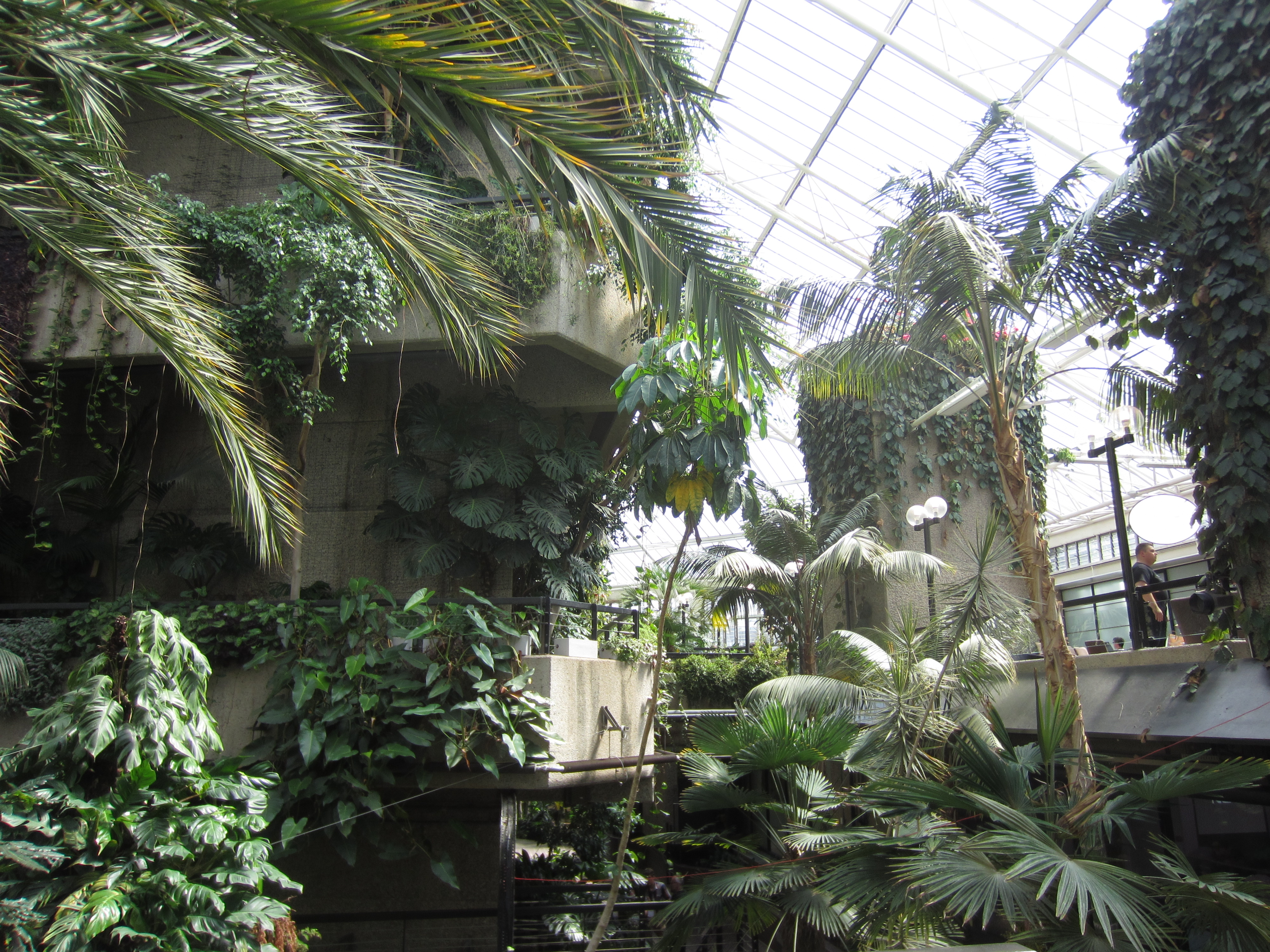 Barbican Conservatory - the City of London's indoor rainforest - Place ...