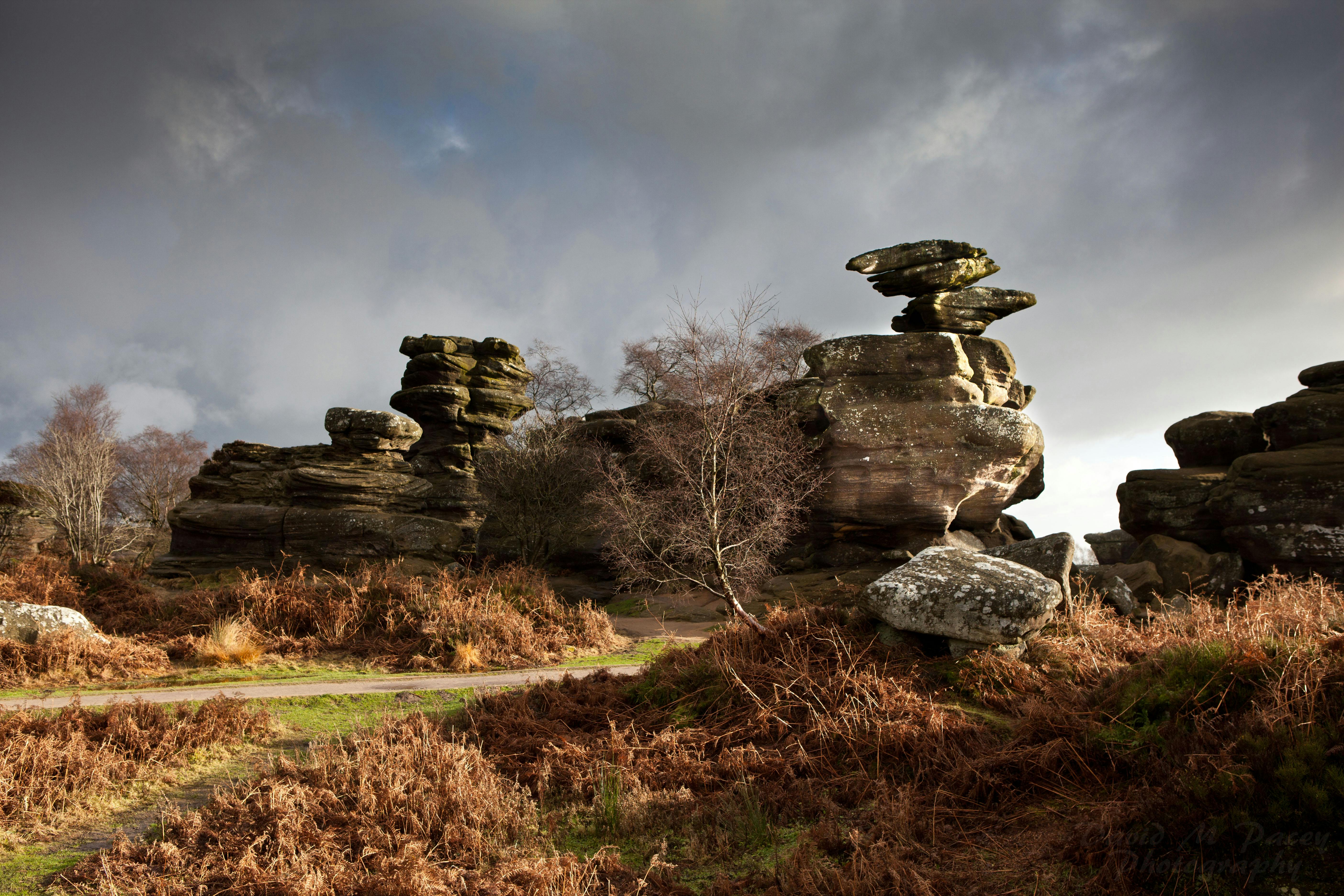 Brimham Rocks - Bizarre rock formations in Yorkshire - Landscape - Bite ...