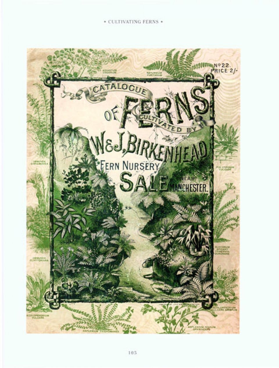 Pteridomania – the Victorian Fern Madness - History - Bite Sized ...