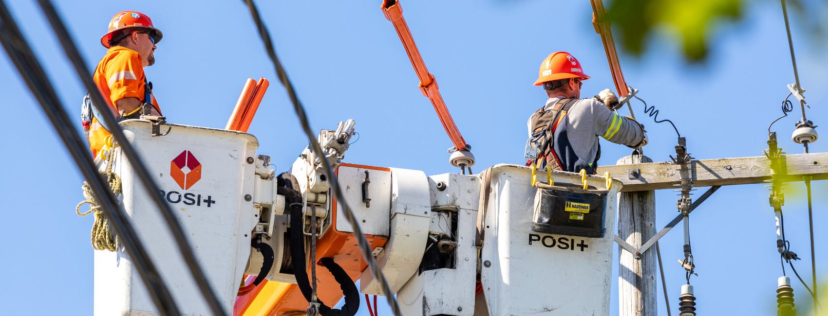 Power Line Cover | Saint John Energy