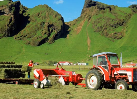 Skeljungur | Skeljungur