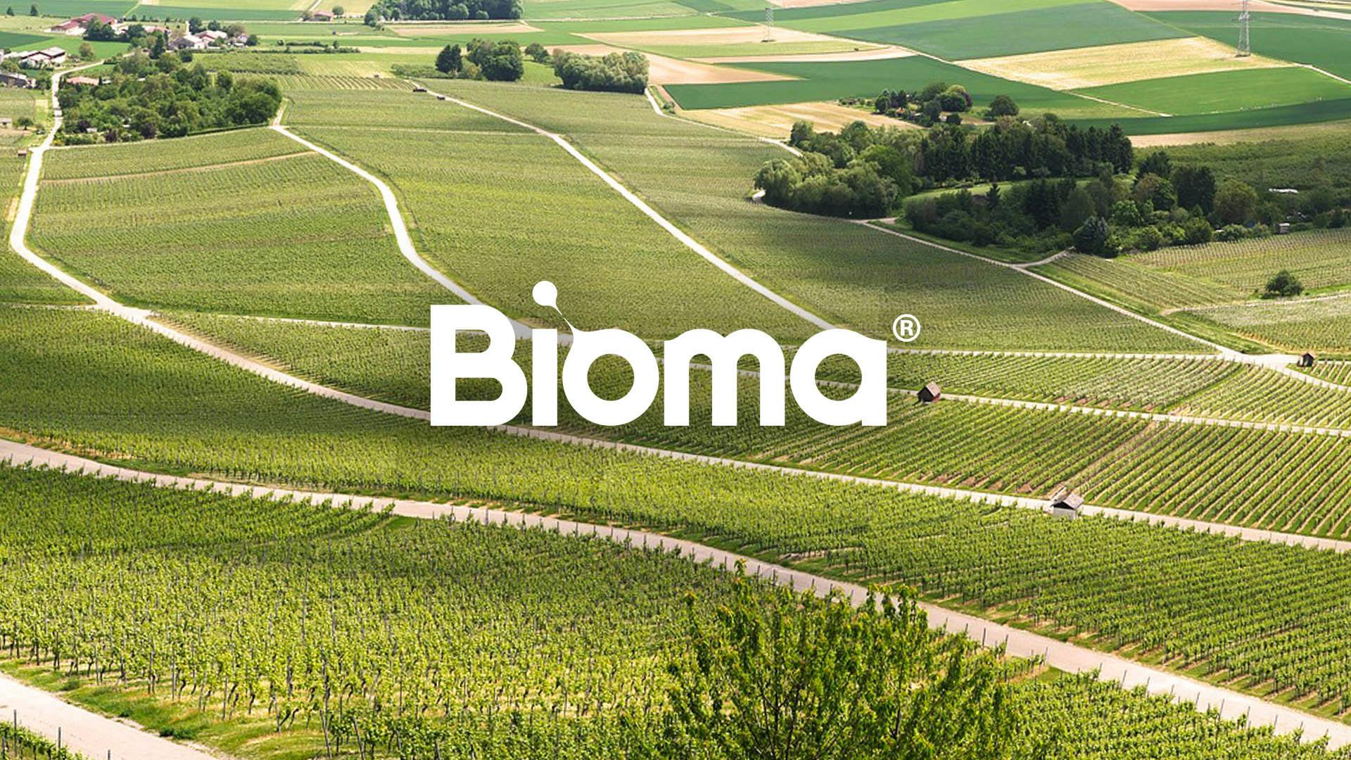 Bioma brand strategy - Sketchin Projects