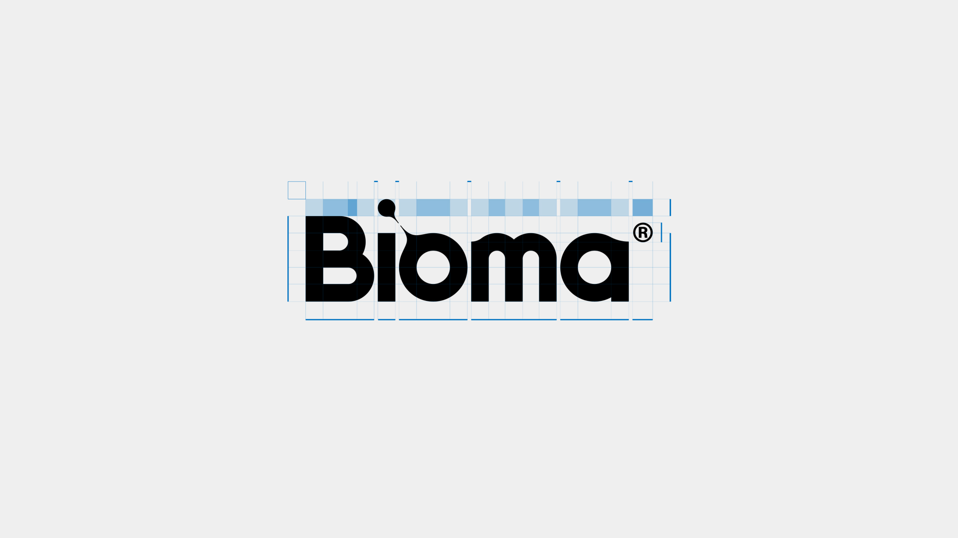 Bioma brand strategy - Sketchin Projects