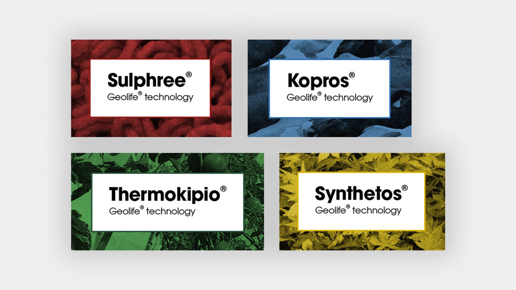 Bioma brand strategy - Sketchin Projects