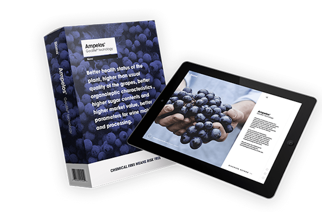 Bioma brand strategy - Sketchin Projects