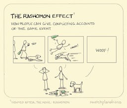 The Rashomon effect - Sketchplanations