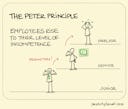 The Peter Principle - Sketchplanations