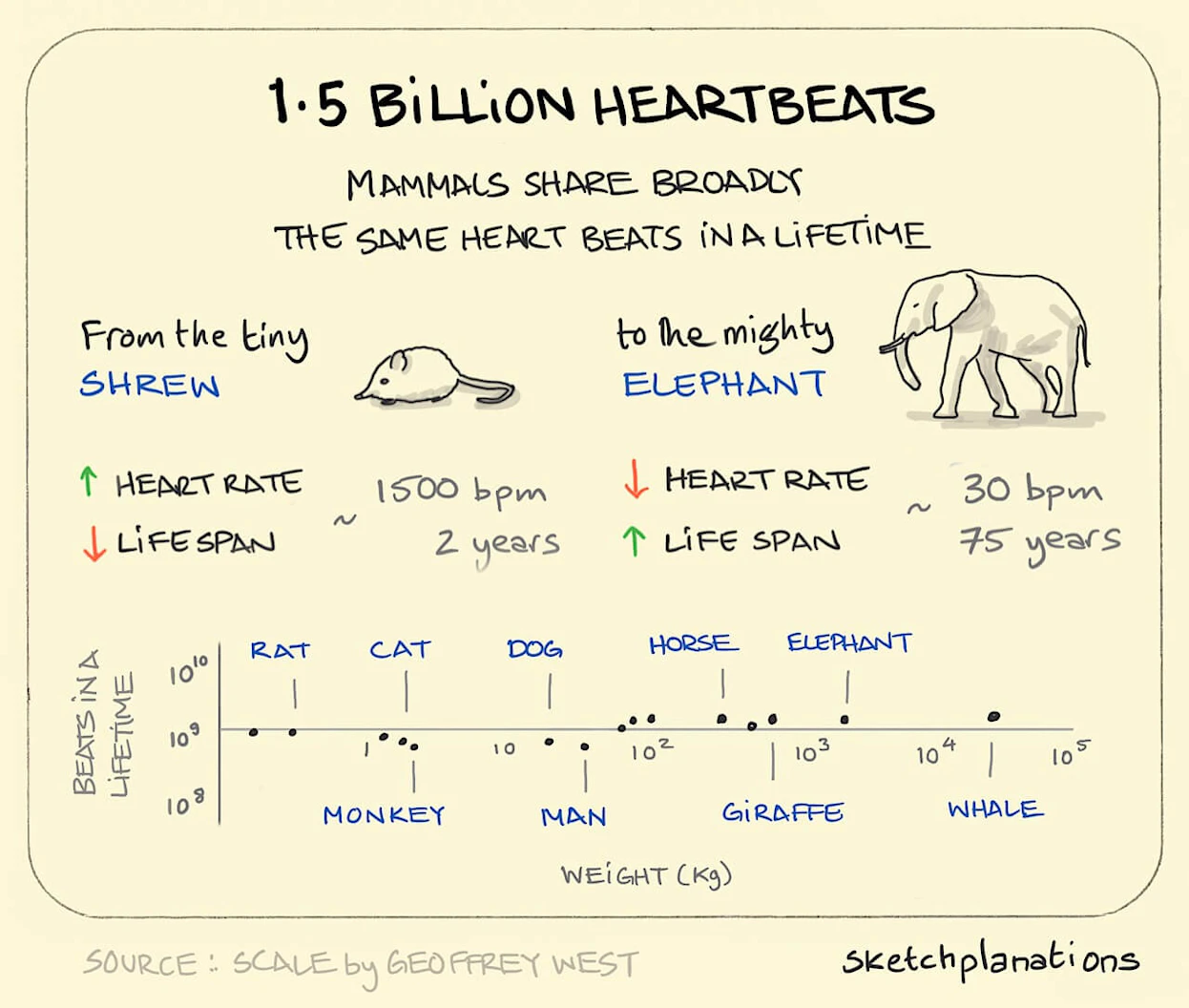 The cobra effect - Sketchplanations