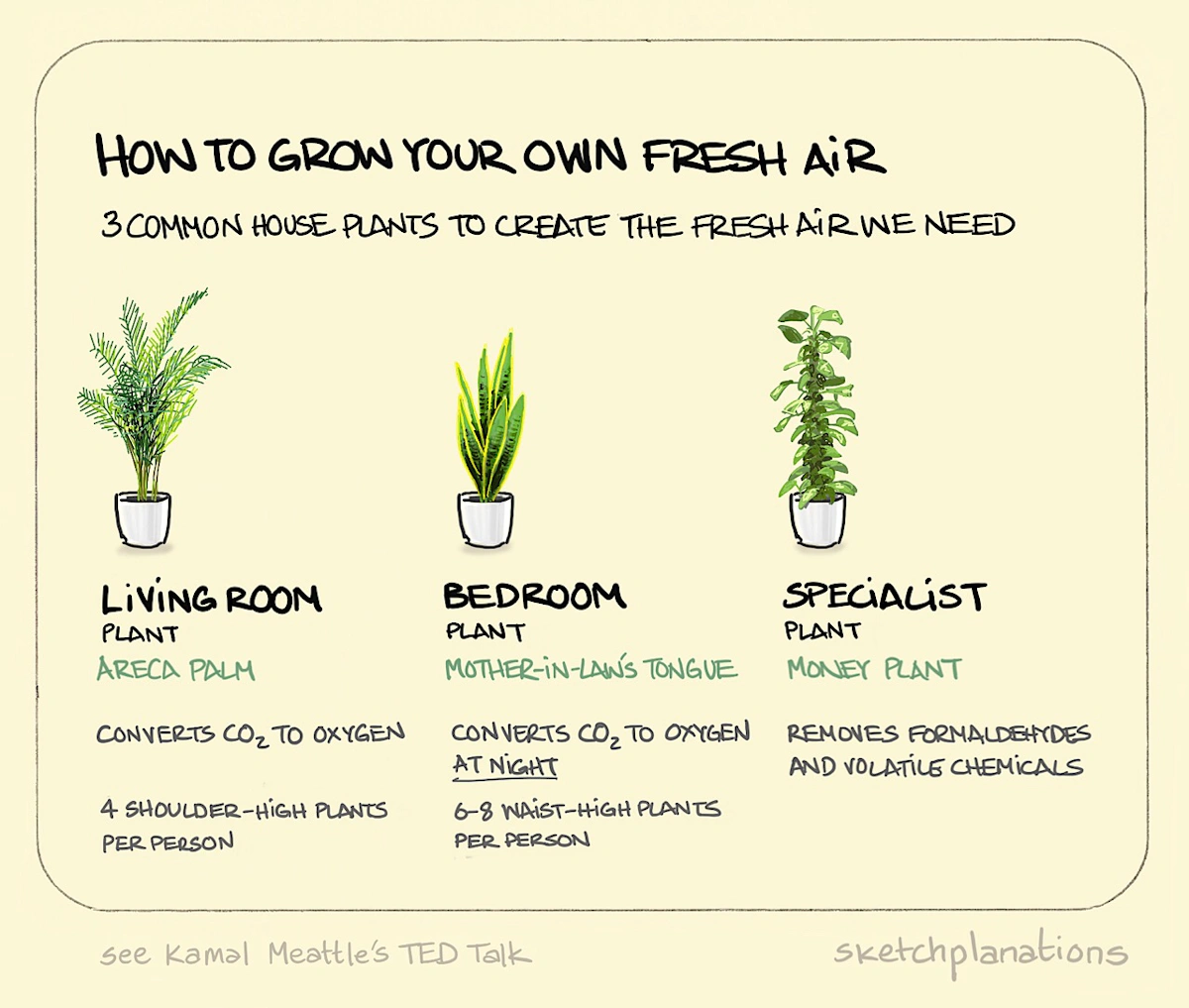 How to grow your own fresh air - Sketchplanations