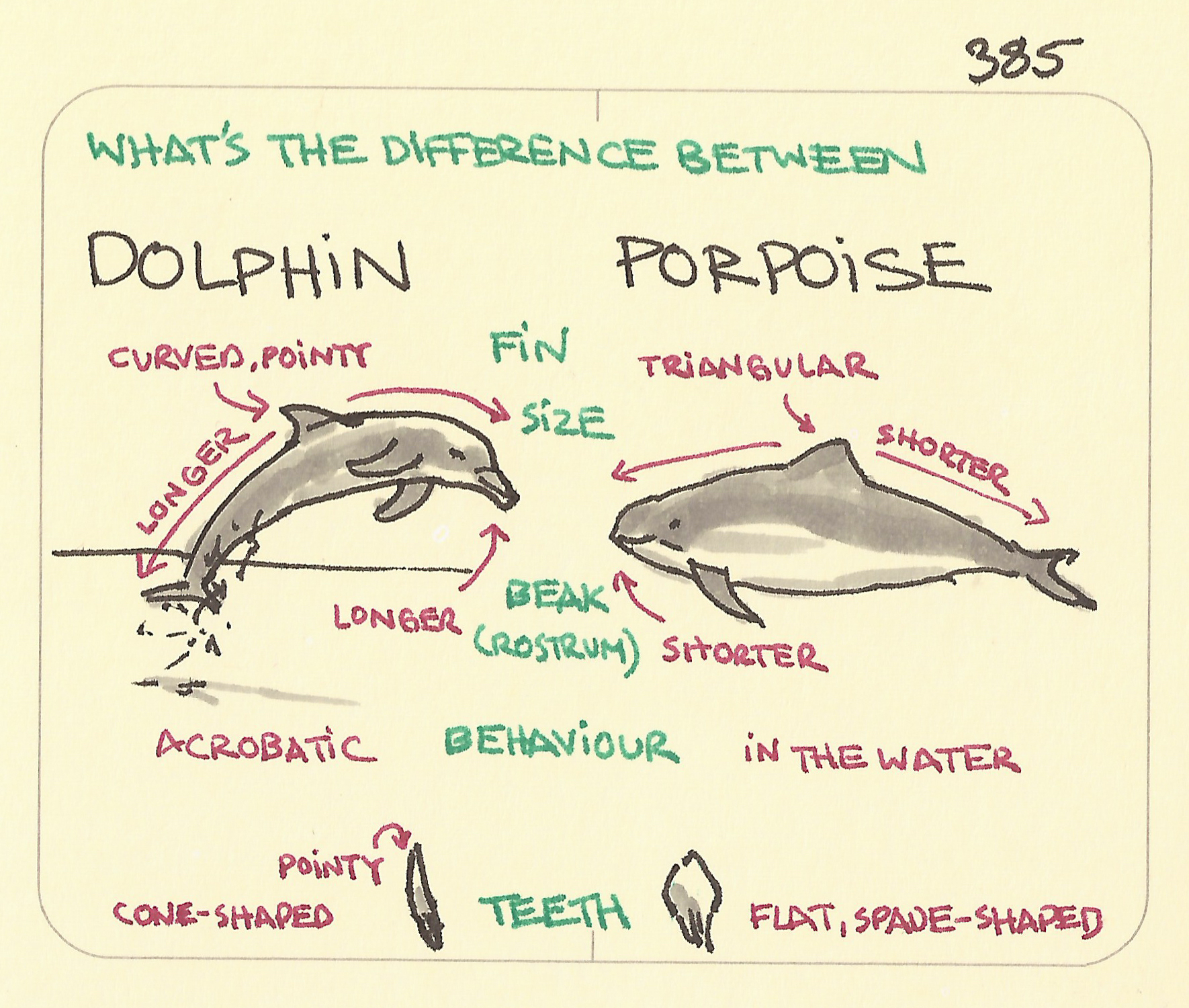 Cognitive overhead - Sketchplanations