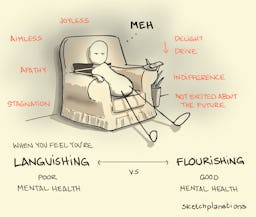 Languishing - Sketchplanations