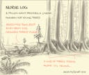 Nurse log - Sketchplanations