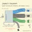 Sankey diagram - Sketchplanations