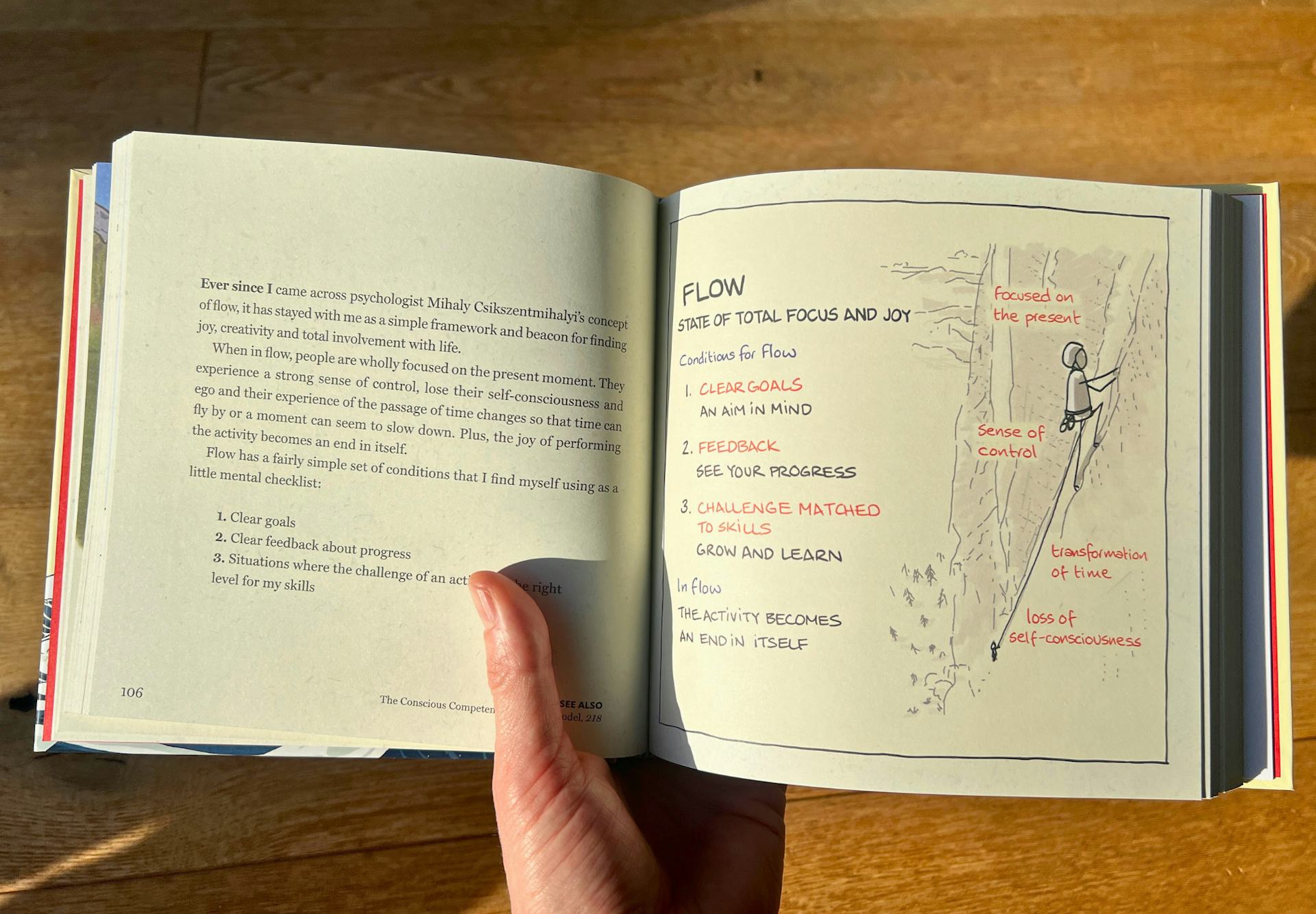 Big Ideas Little Pictures by Jono Hey - Sketchplanations