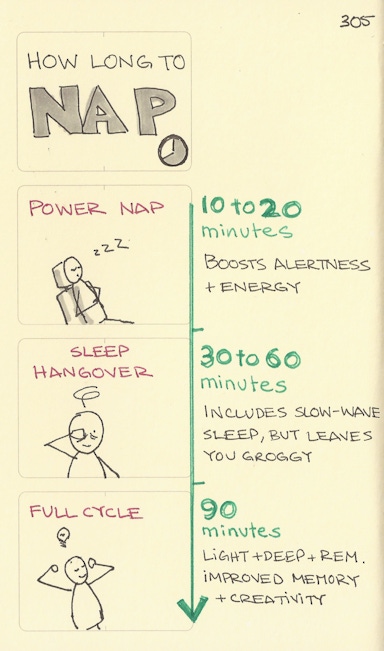How long to nap - Sketchplanations