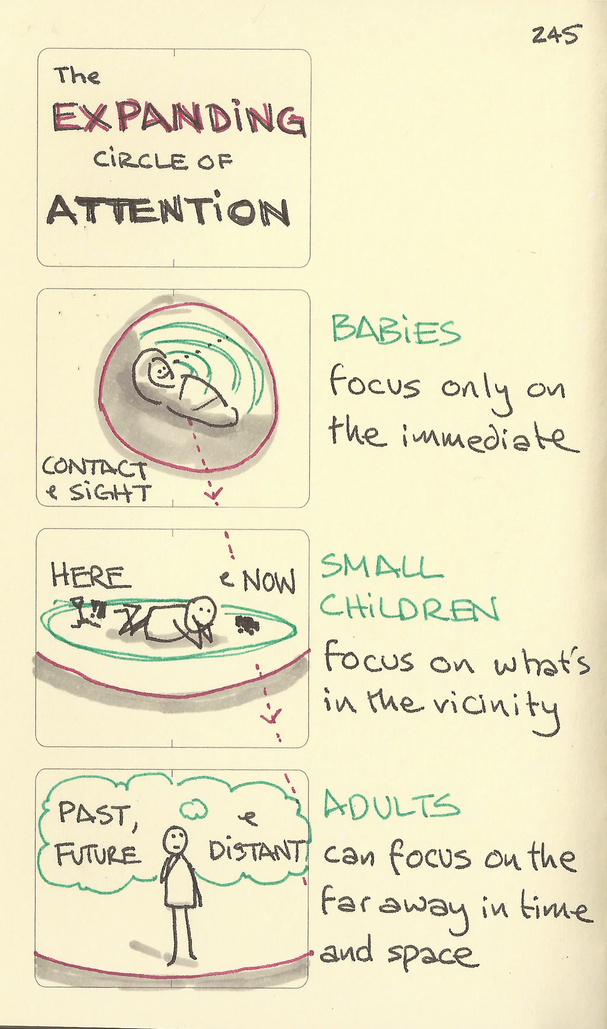 Understanding aperture - Sketchplanations