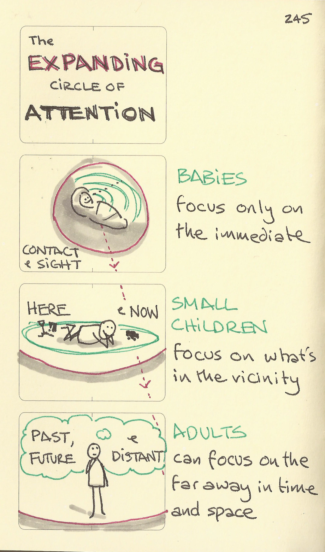 The expanding circle of attention - Sketchplanations