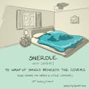 Snerdle - Sketchplanations