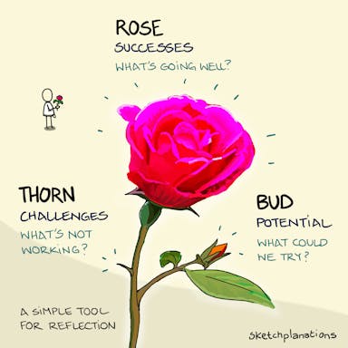 Rose, Thorn, Bud - Sketchplanations