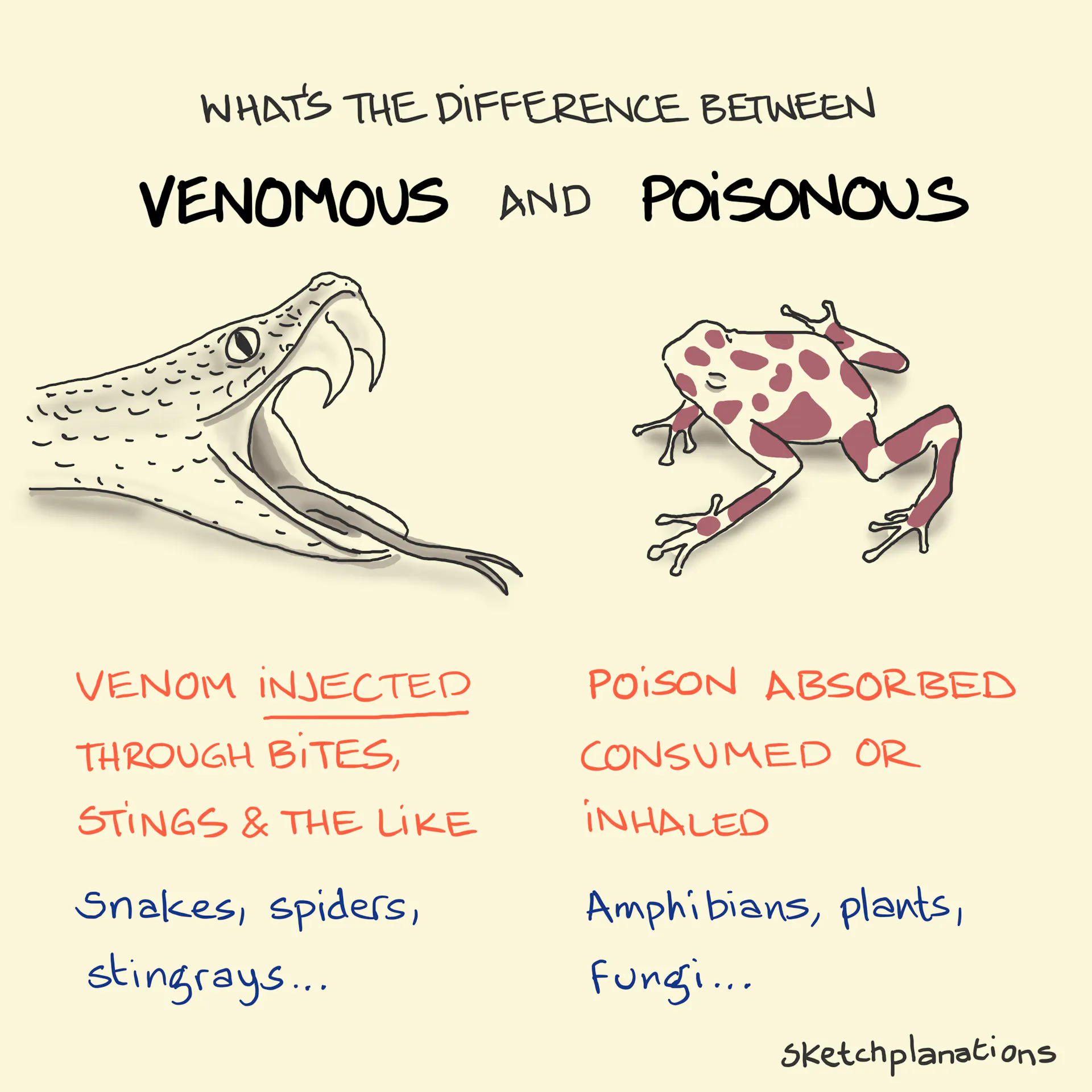 Venomous, poisonous - what’s the difference? - Sketchplanations