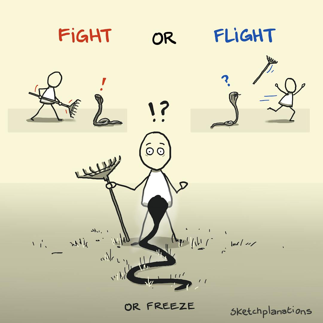 Fight or Flight - Sketchplanations